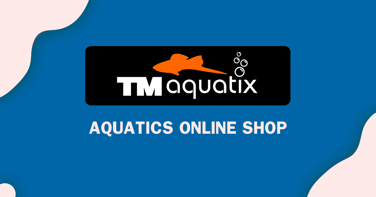 Aquatics online shop | Aquatix-store – aquatix.store